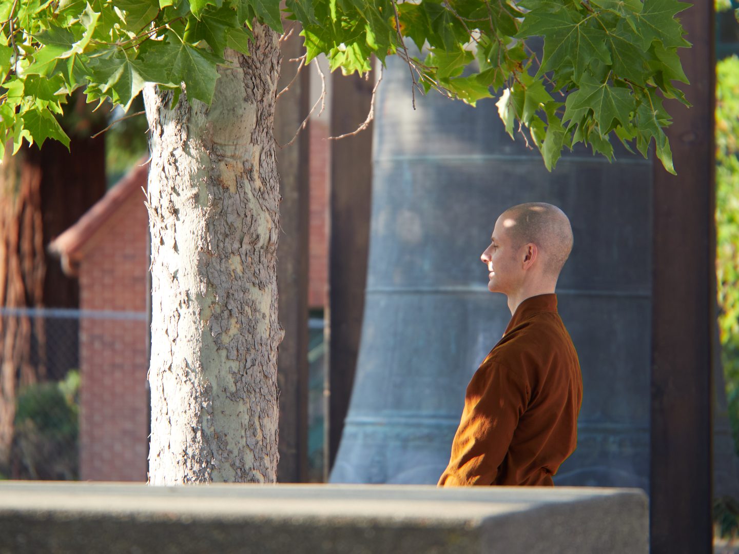 Contemplative Practice - Dharma Realm Buddhist University