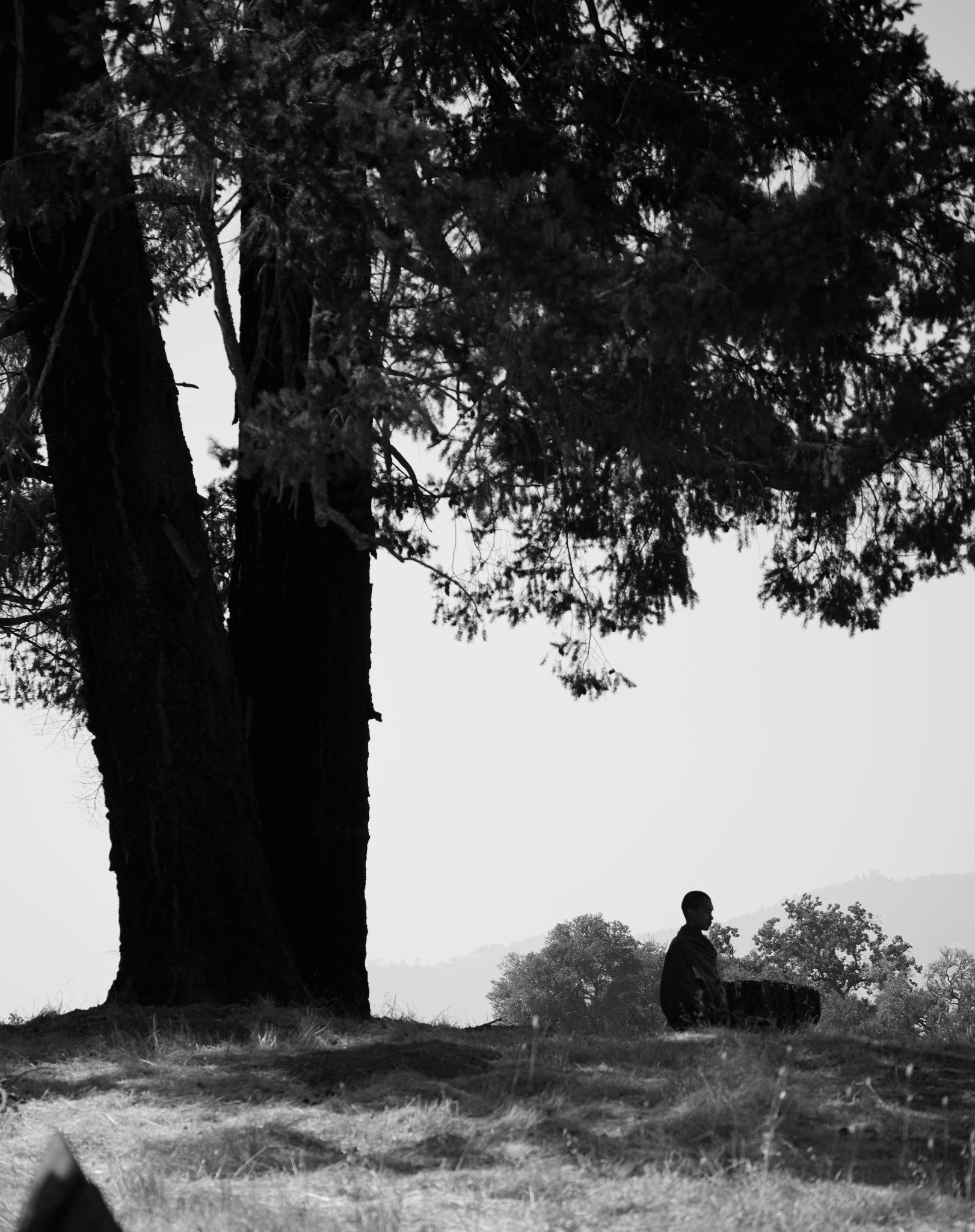 How to Live a Meaningful Life According to Buddhism - Dharma Realm ...