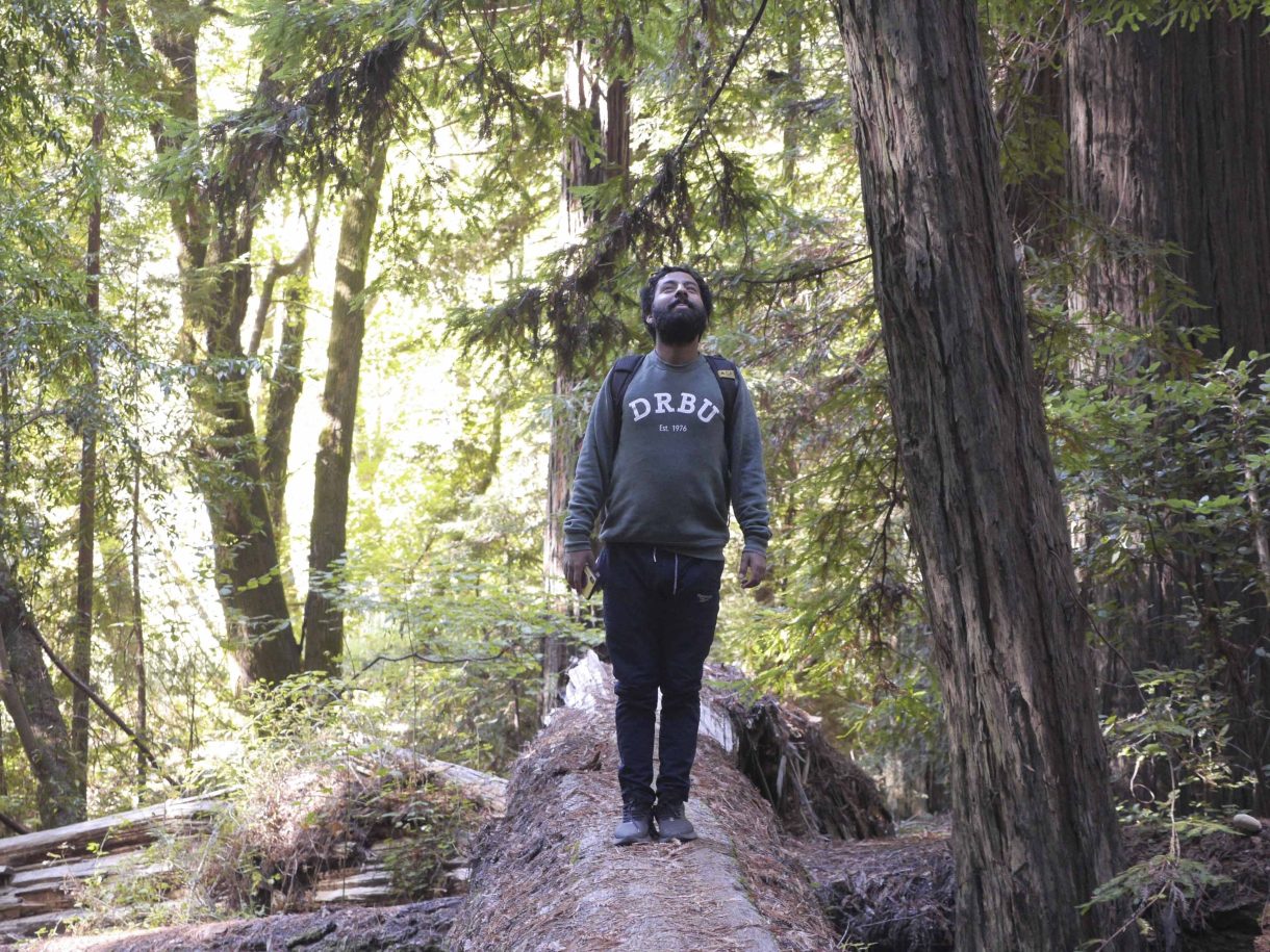 Contemplative Practice - Dharma Realm Buddhist University