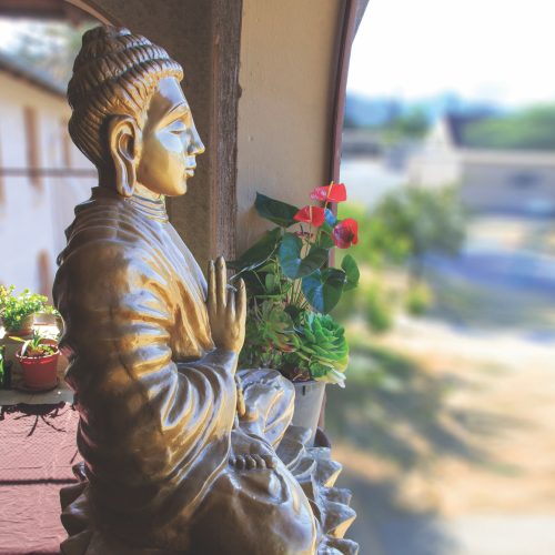 Academics - Dharma Realm Buddhist University